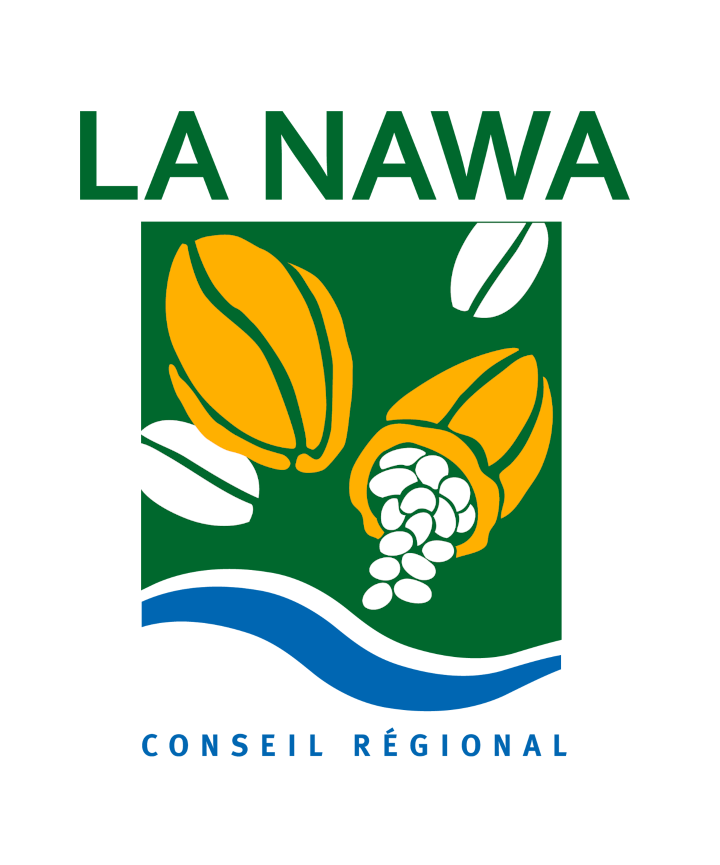 Dakar Forum: Presentation of a Project Against Irregular Migration - Oru Fogar